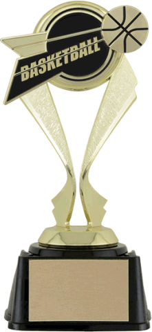 Bullseye Basketball Trophy | Awards Unlimited Trophies and Awards